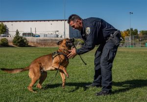 Officer Careers - CHP