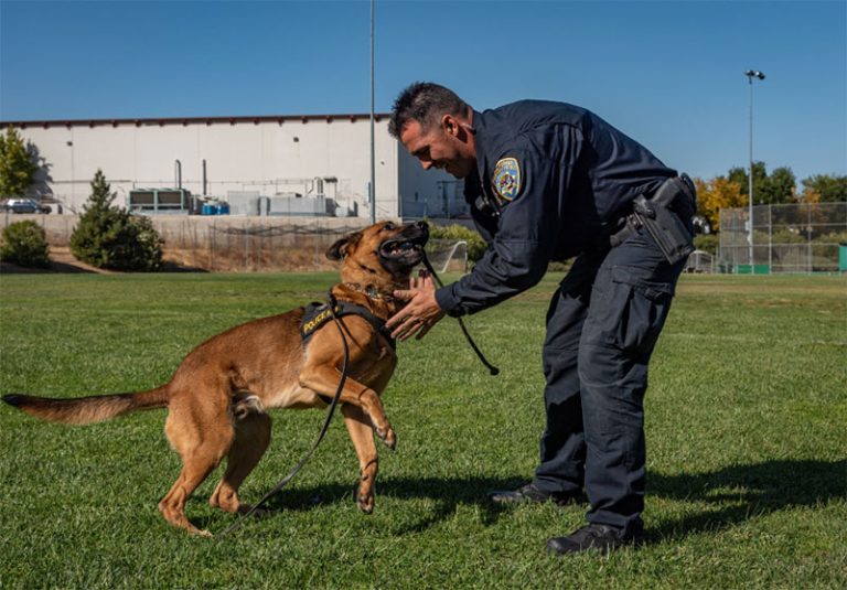 Officer Careers - CHP