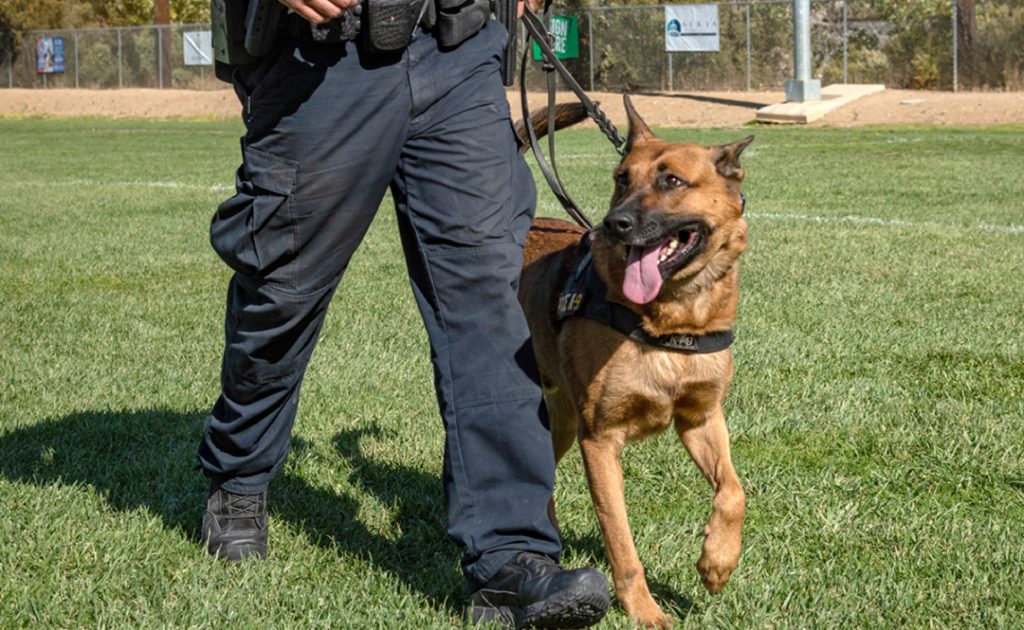 Life At The Academy - CHP